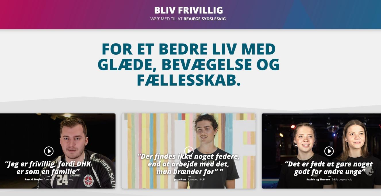 Ny platform skal styrke frivilligheden i SdU | Grænseforeningen.dk